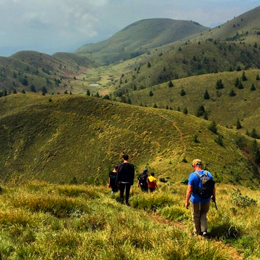 Munnar Travel Planners - Travel with us enjoy Holidays - WhatsApp ...